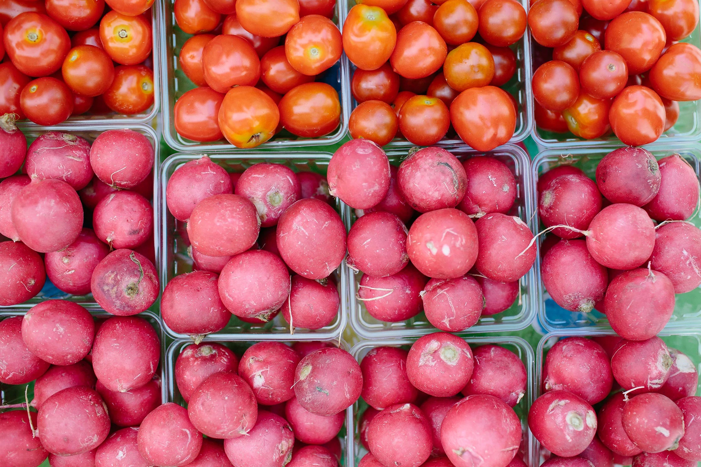 Local and Seasonal Meal Delivery Food Partners – Vegetable + Butcher